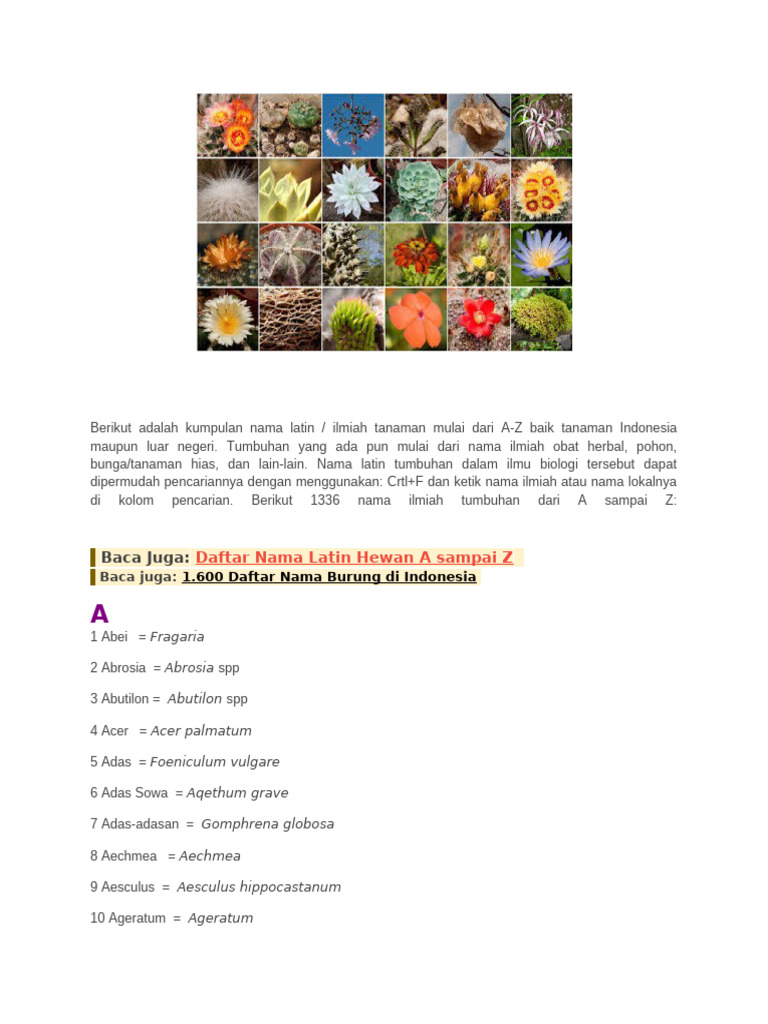 Kumpulan Nama Latin Tumbuhan A-Z | PDF | Vegan Cuisine