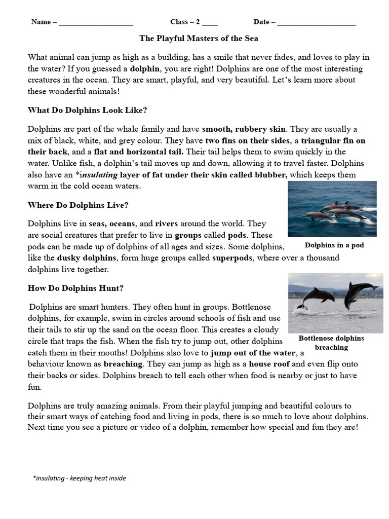 Dolphins - Non-Fiction Comprehension | PDF | Dolphin | Marine Mammals