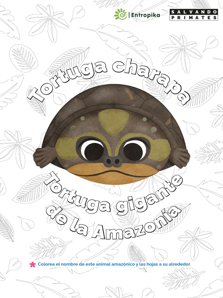 Tortuga Charapa Logos | PDF | Aves | Reptil