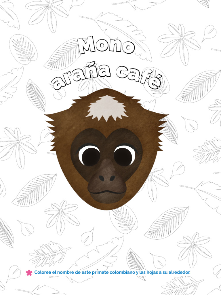 Colorea al Mono Araña Café | PDF | Mono