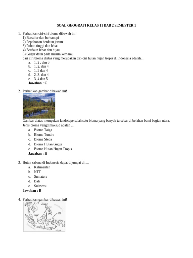 Soal G-Eval (2) Geografi Kelas 11 | PDF