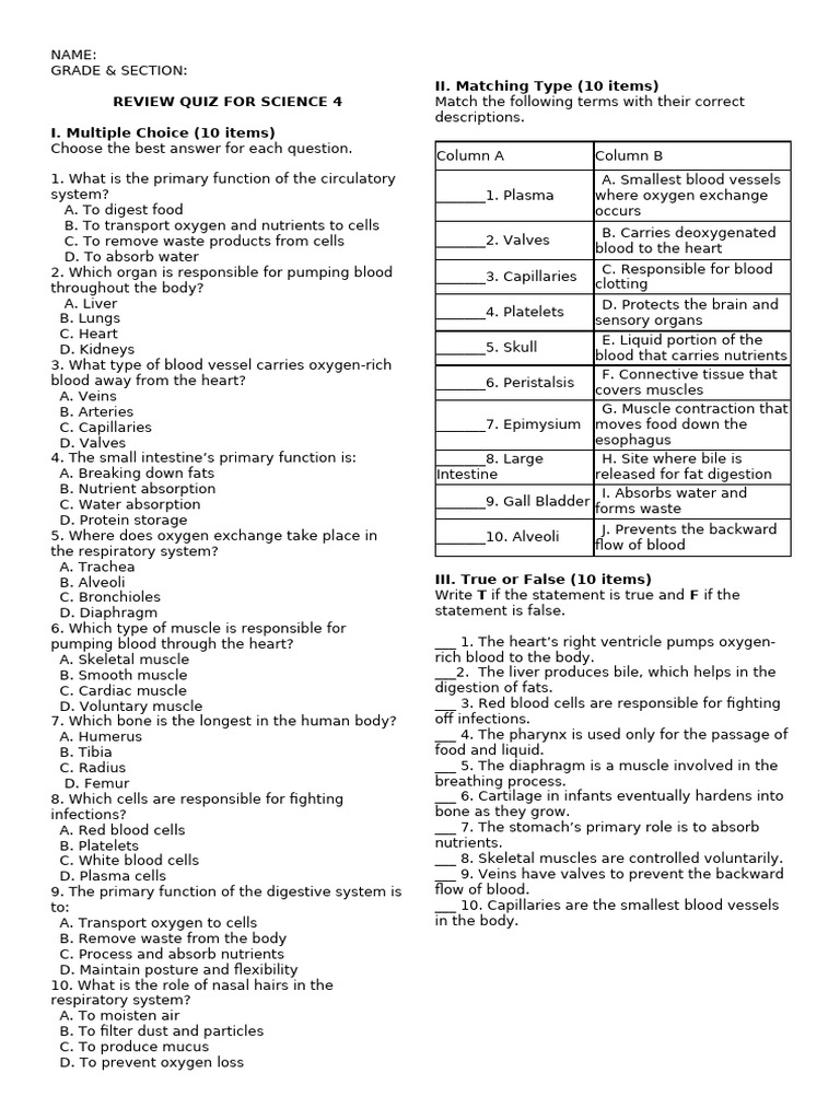 Review Quiz -Grade 4 | PDF | Blood | Muscle
