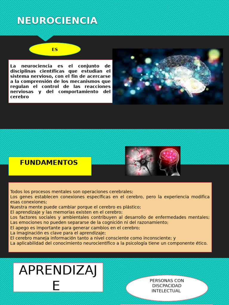 NEUROCIENCIA | PDF | Aprendizaje | Mente
