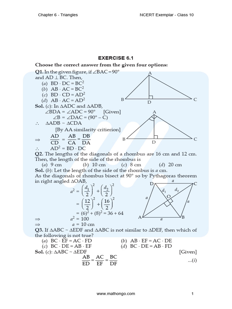 Ncert Exemplar Math Class 10 Chapter 06 Triangles - Cleaned | PDF ...