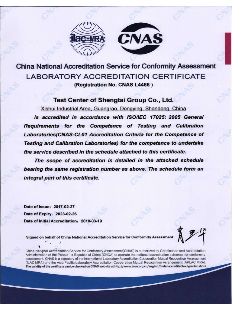 ISO Shengtai | PDF