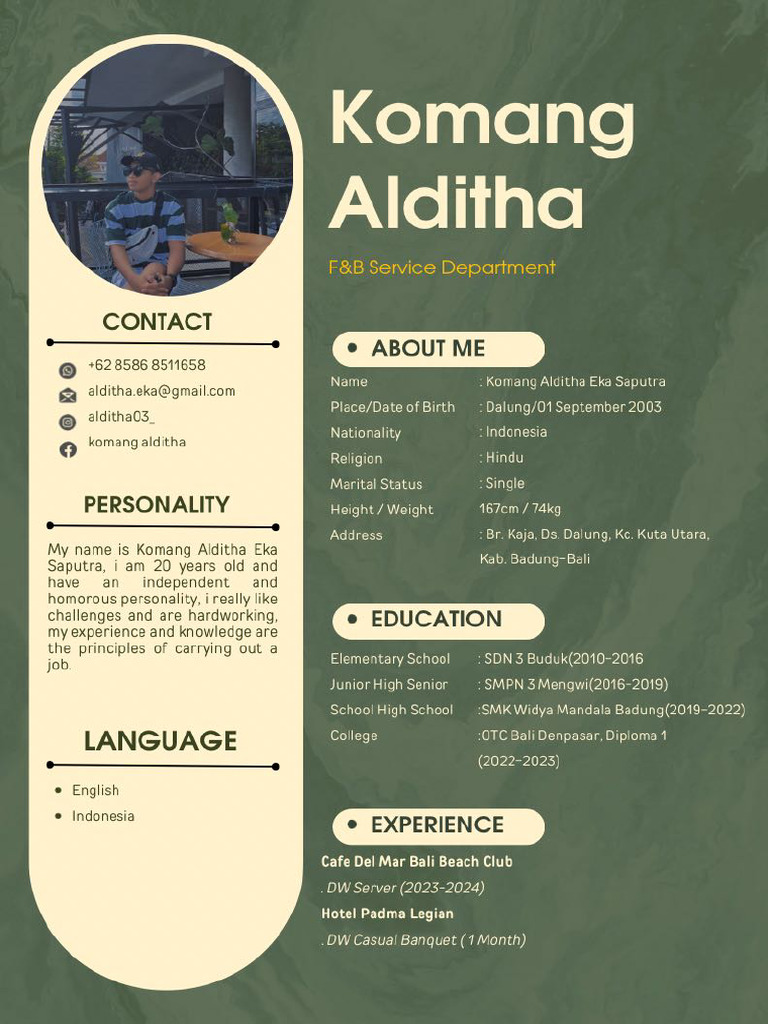 Komang Alditha CV | PDF