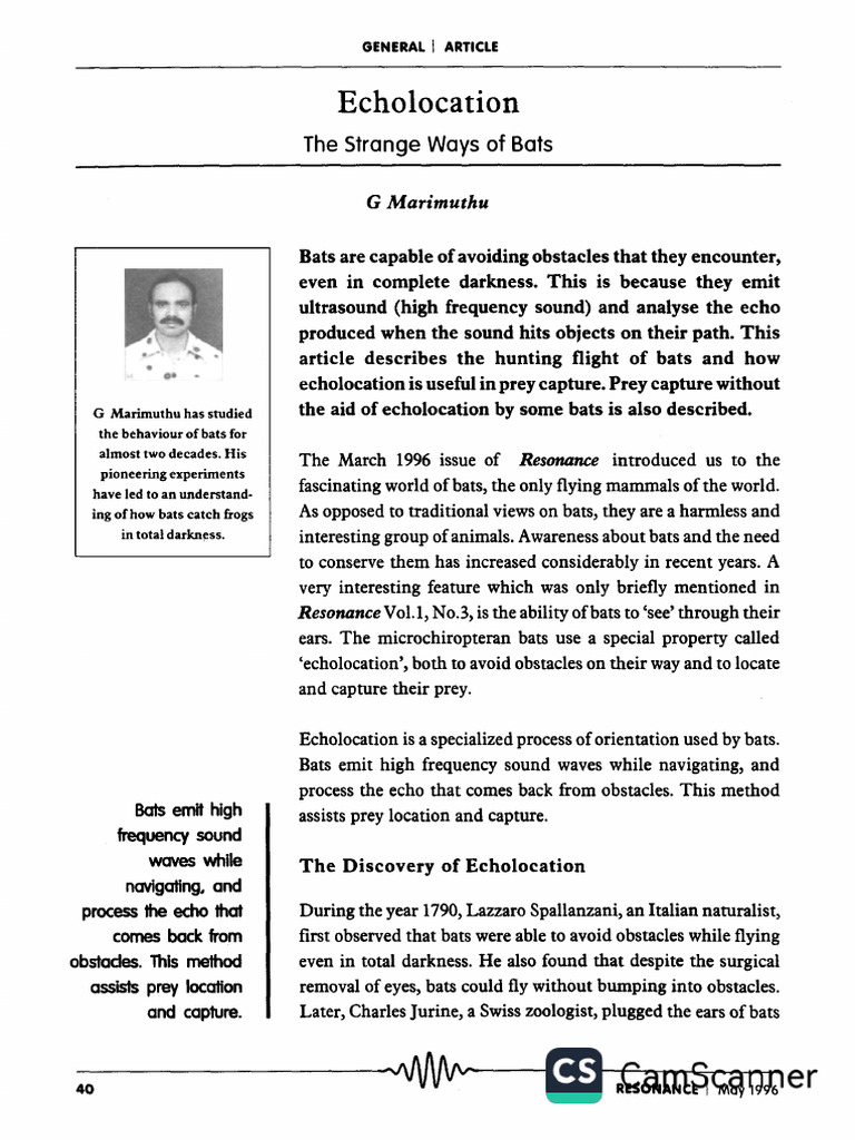 Echolocation Pdf Bat Frequency Modulation