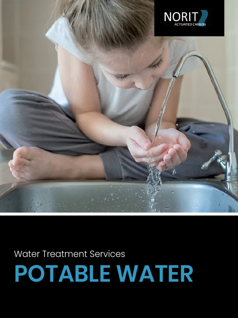 NORIT Brochure Potable Water Americas | PDF | Water Purification | Water Treatment