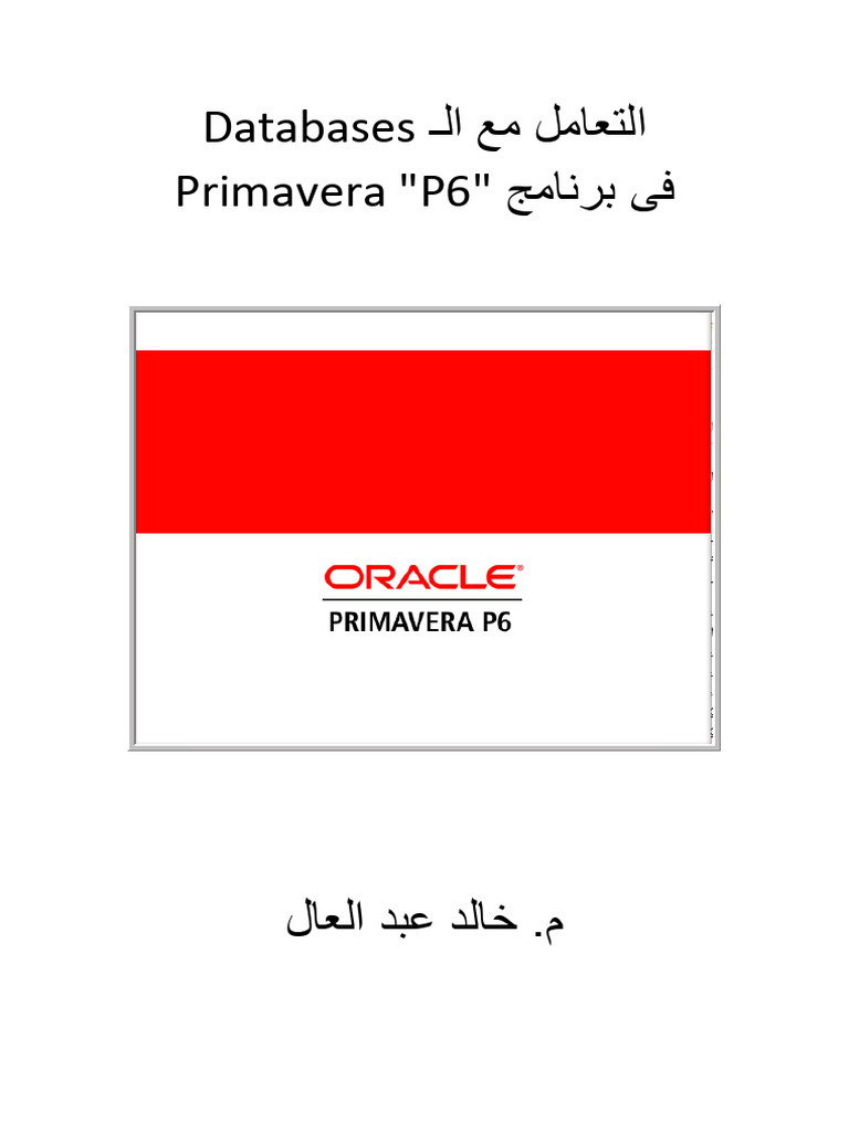 P6 Database | PDF