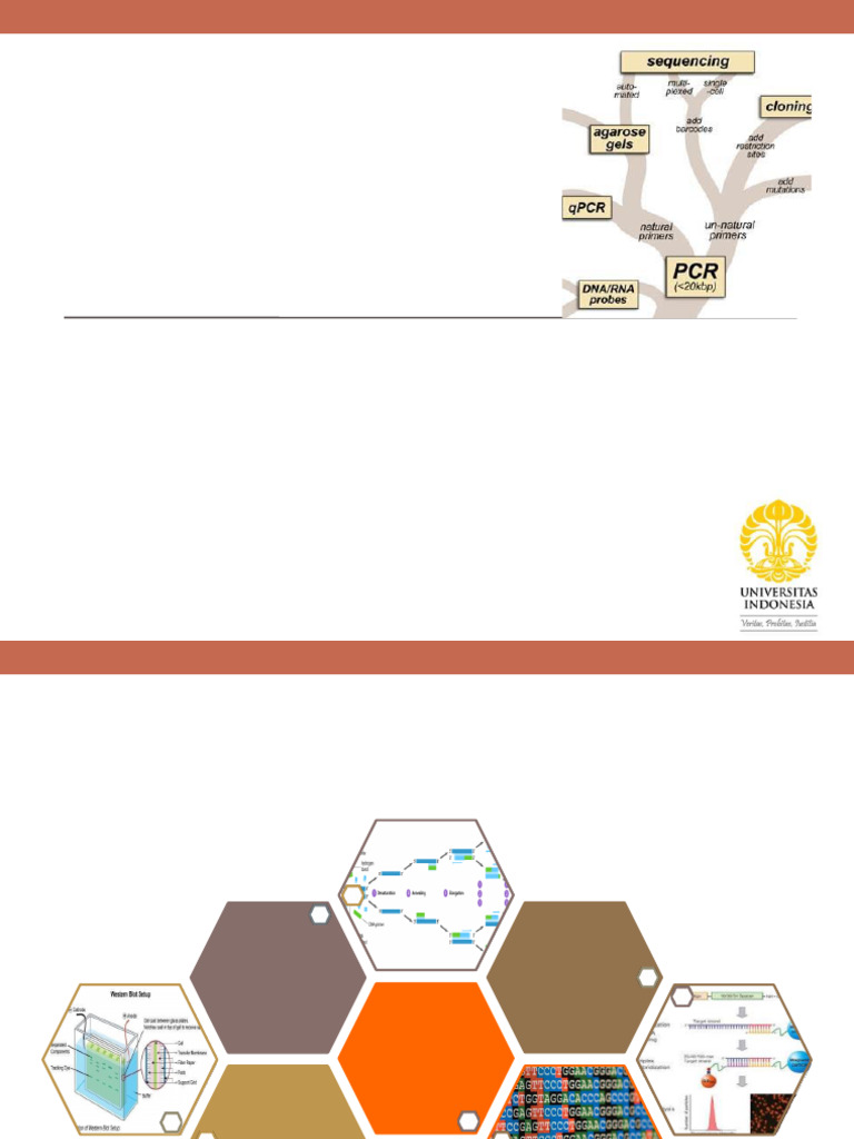 Biomol 12 - Molecular Biology Techniques | PDF | Polymerase Chain ...