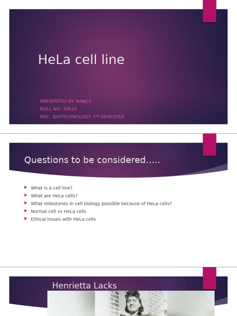 HeLa Cell Line | PDF | He La | Biological Processes