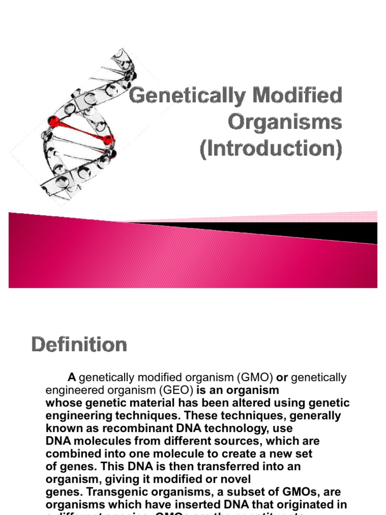 Gmo - PPT Biotech | PDF | Genetically Modified Organism | Genetic ...