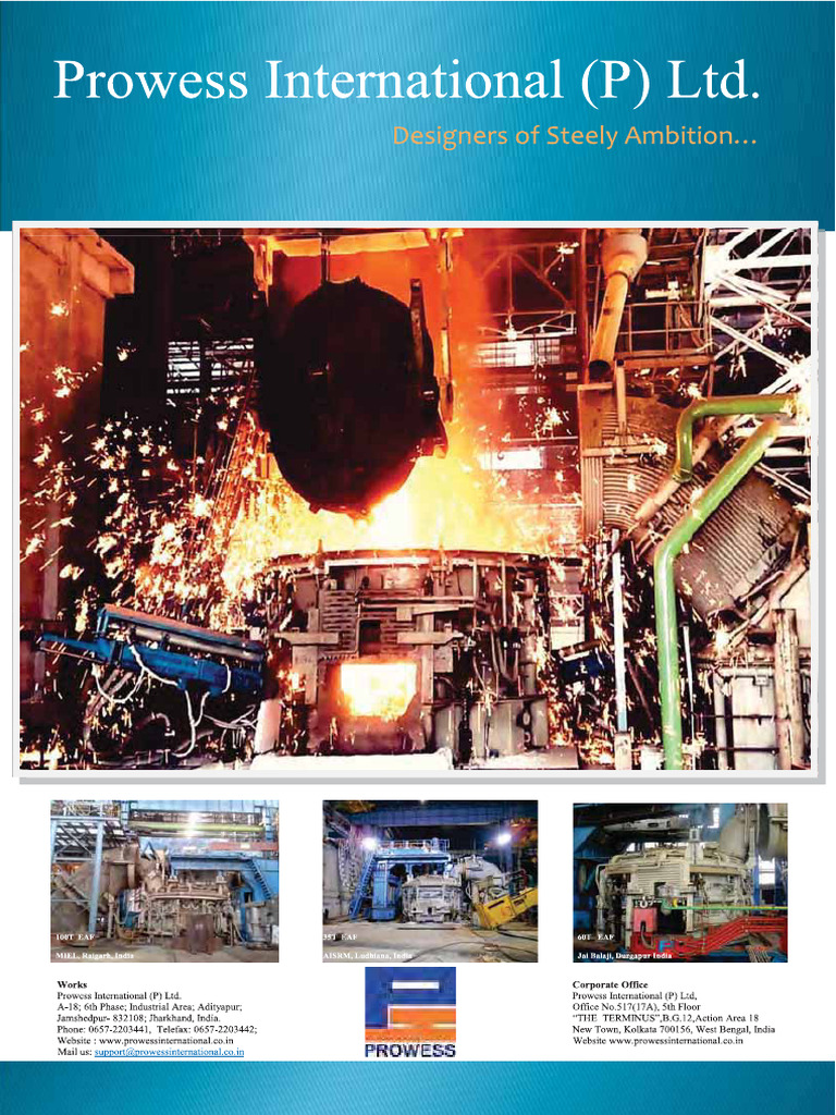 Prowess Profile | PDF