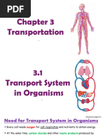 Human vs Fish Circulatory Systems | PDF | Circulatory System | Heart