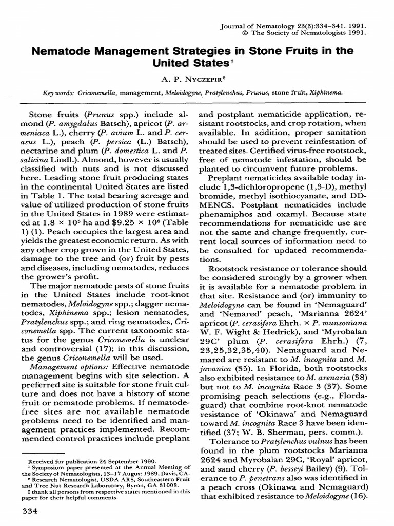 334 | PDF | Peach | Cherry