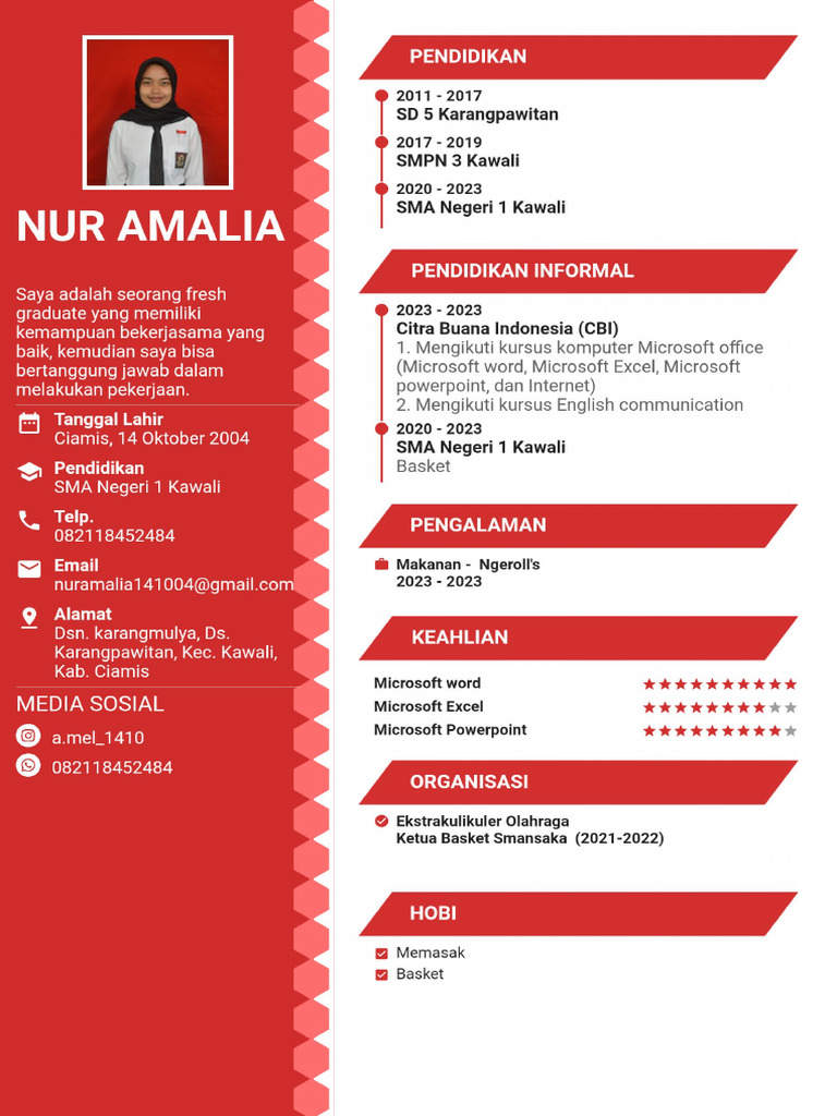 CV Nur Amalia | PDF