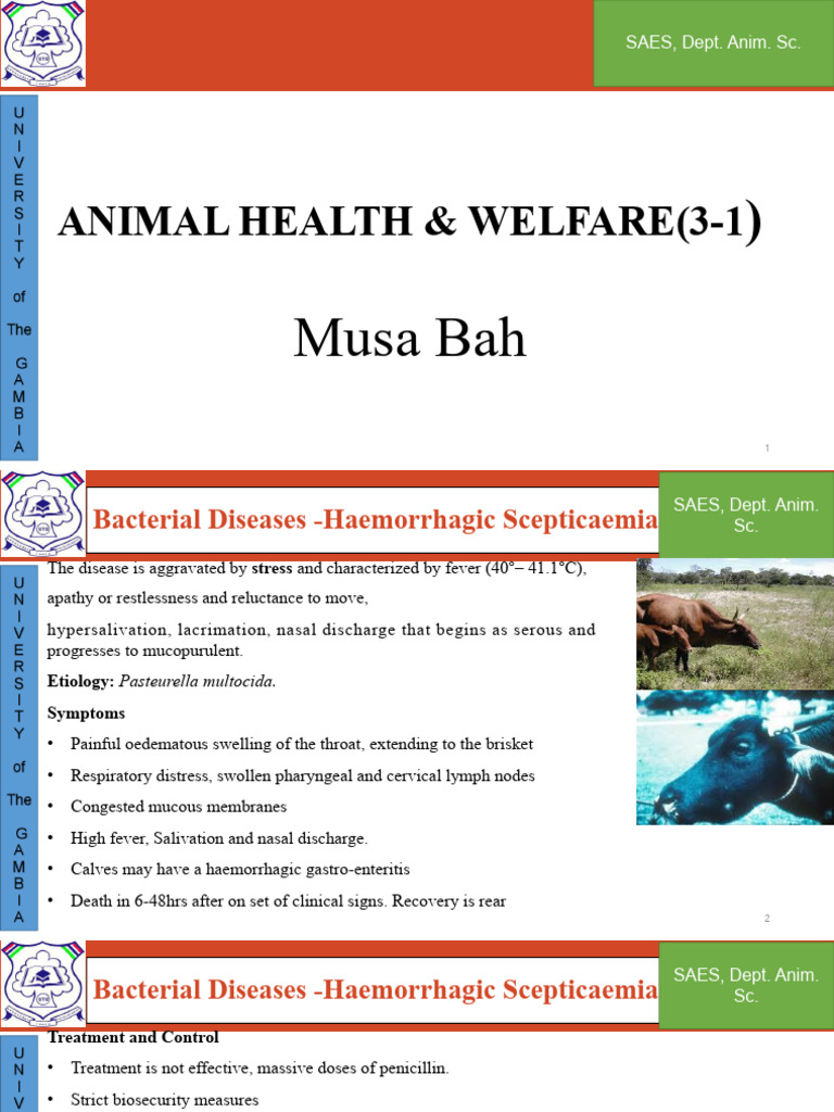 LATEST UPDATED NOTES 2, Animal Health | PDF | Influenza | Parasitism