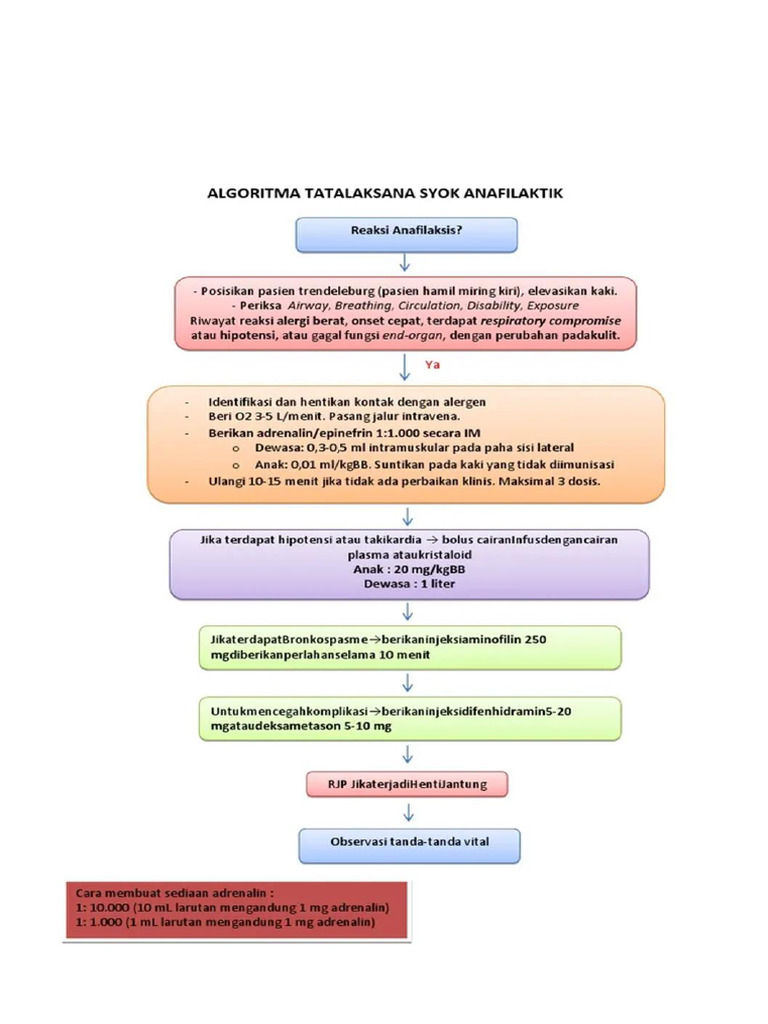 Syok Anafilaktik | PDF