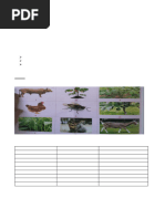 General Paper Scenarios for 2025 | PDF