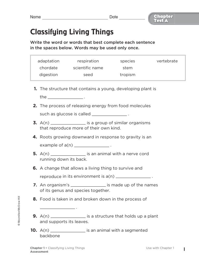 Classifying Living Things Assessment Test | PDF | Foods | Plants