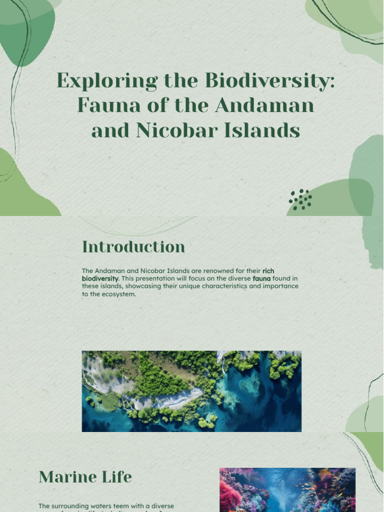 Slidesgo Exploring The Biodiversity Fauna of The Andaman and Nicobar ...