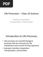 Life Processes Class 10 Notes | PDF