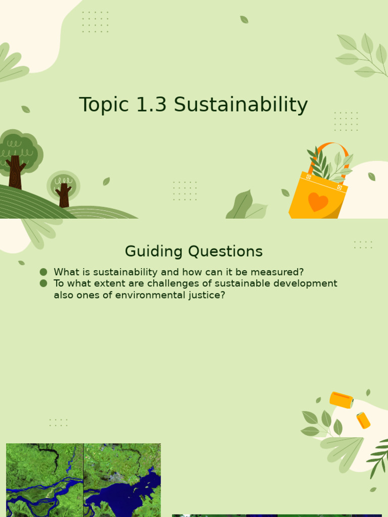 Subtopic 1.3 Sustainability | PDF | Sustainability | Gross Domestic Product