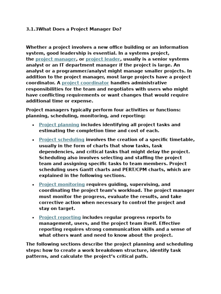 IT Analysis Design Project Manager | PDF | Computers