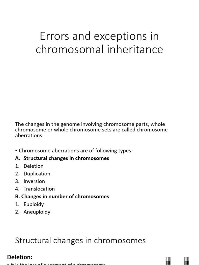 Errors and Exceptions in Chromosomal Inheritance | PDF | Point Mutation | Ploidy
