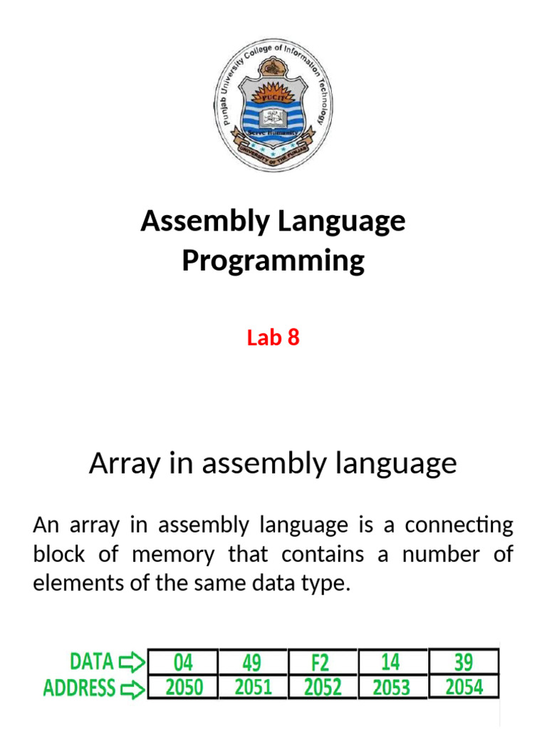COAL Lab 8 (Midterm) | PDF