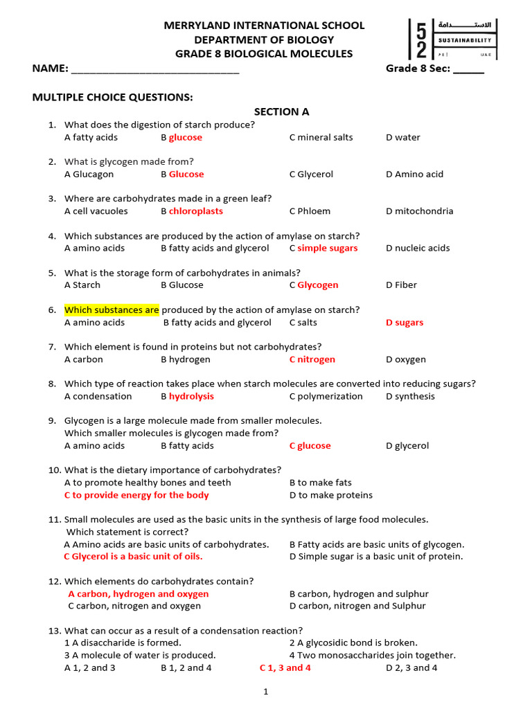 Grade 8 Biology: Biological Molecules | PDF | Carbohydrates | Glucose