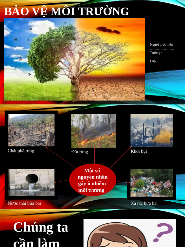 Bao Ve Moi Truong | PDF