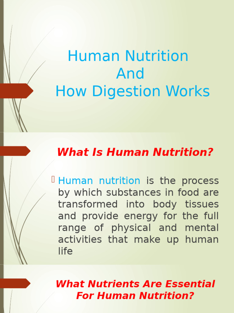 Human-Nutrition | PDF | Digestion | Gastrointestinal Tract