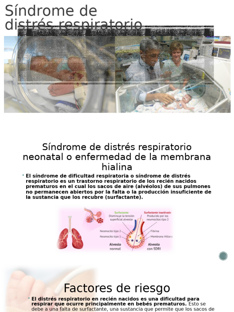 Distres Respiratorio | PDF | Parto prematuro | Sistema respiratorio