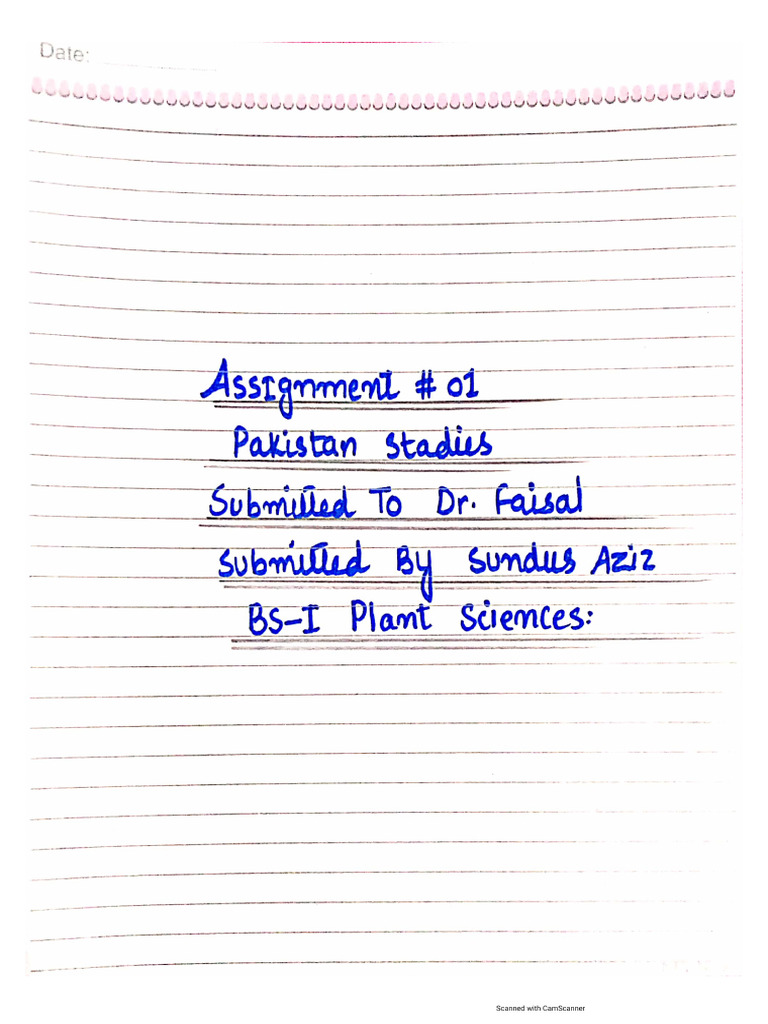 PK - Stadies Assignment 1 | PDF