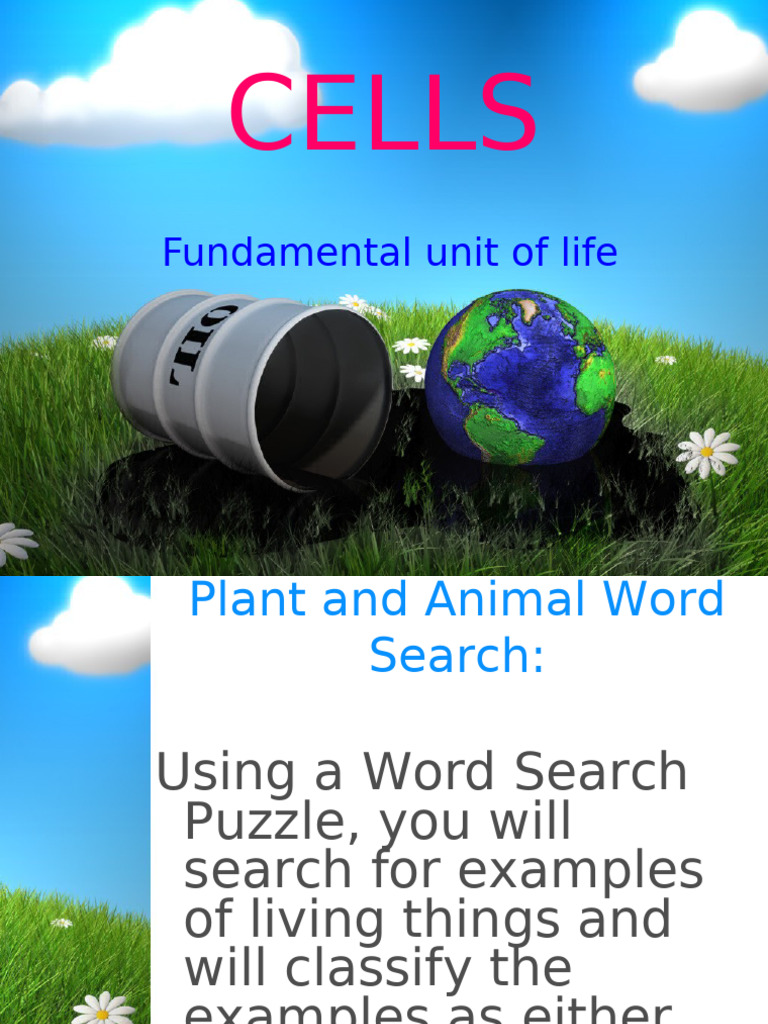 Cells Plants and Animals | PDF | Cell (Biology) | Eukaryotes