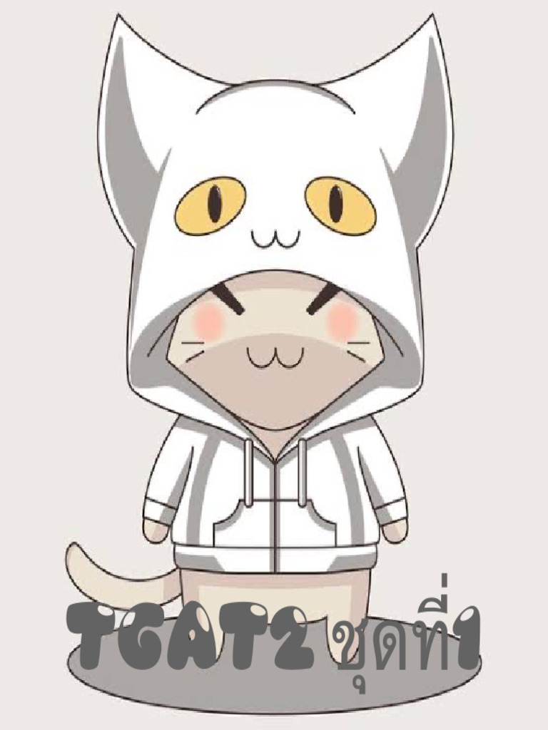 TGAT2 ชุดที่1 | PDF