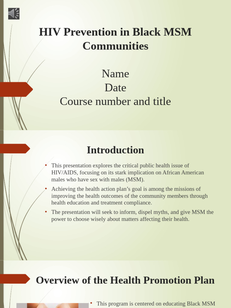 HIV Prevention Strategies for Black MSM | PDF | Men Who Have Sex With ...