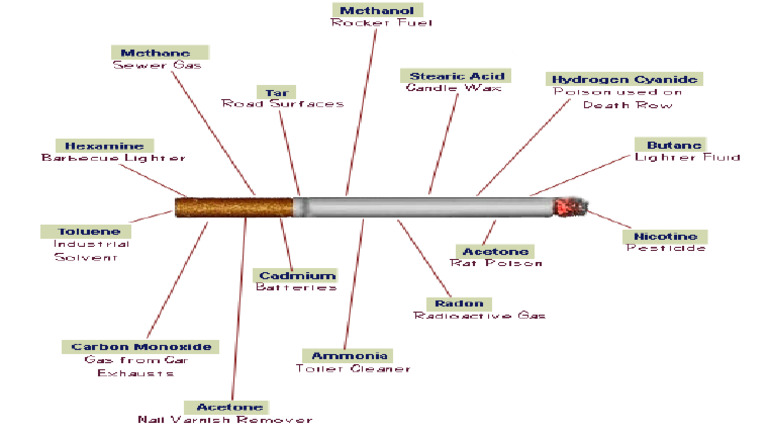 Cigarettes | PDF