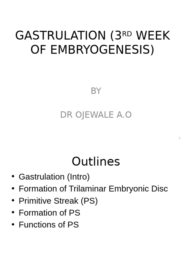 Gastrulation (3RD Week of Embryogenesis) | PDF | Vertebral Column ...