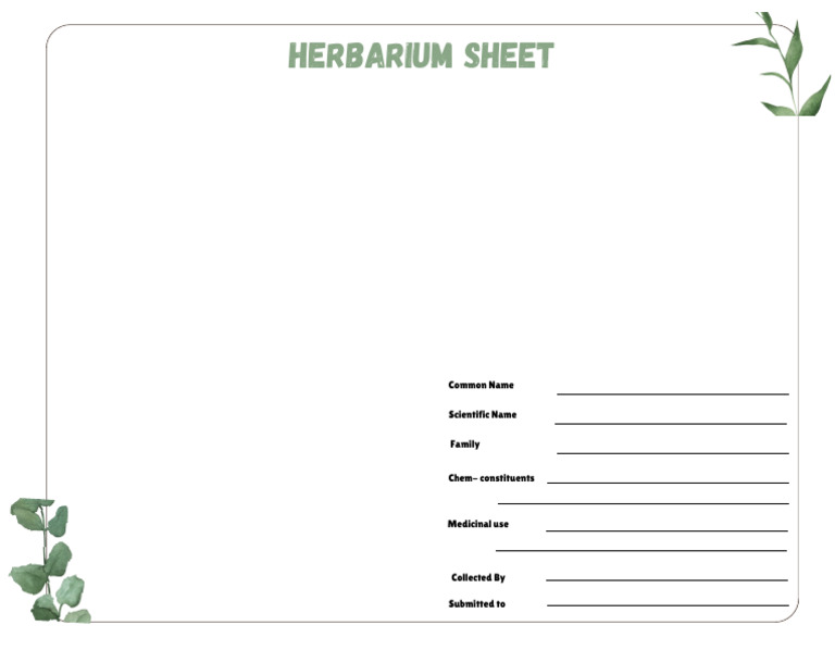 Herbarium Sheet S | PDF