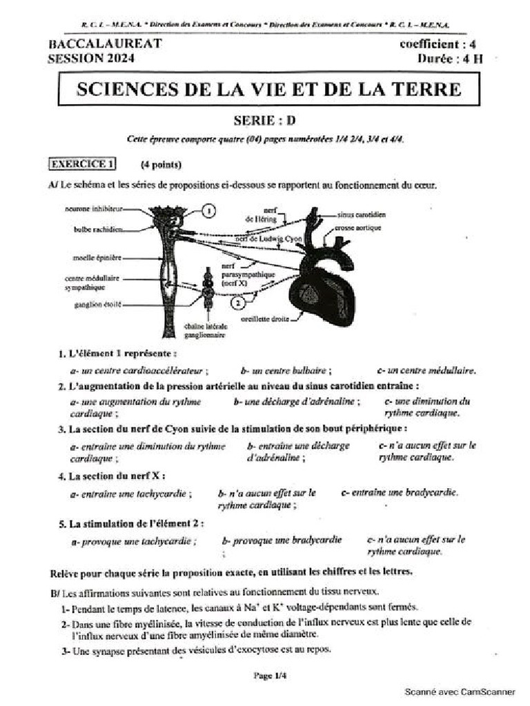 SVT QCM | PDF