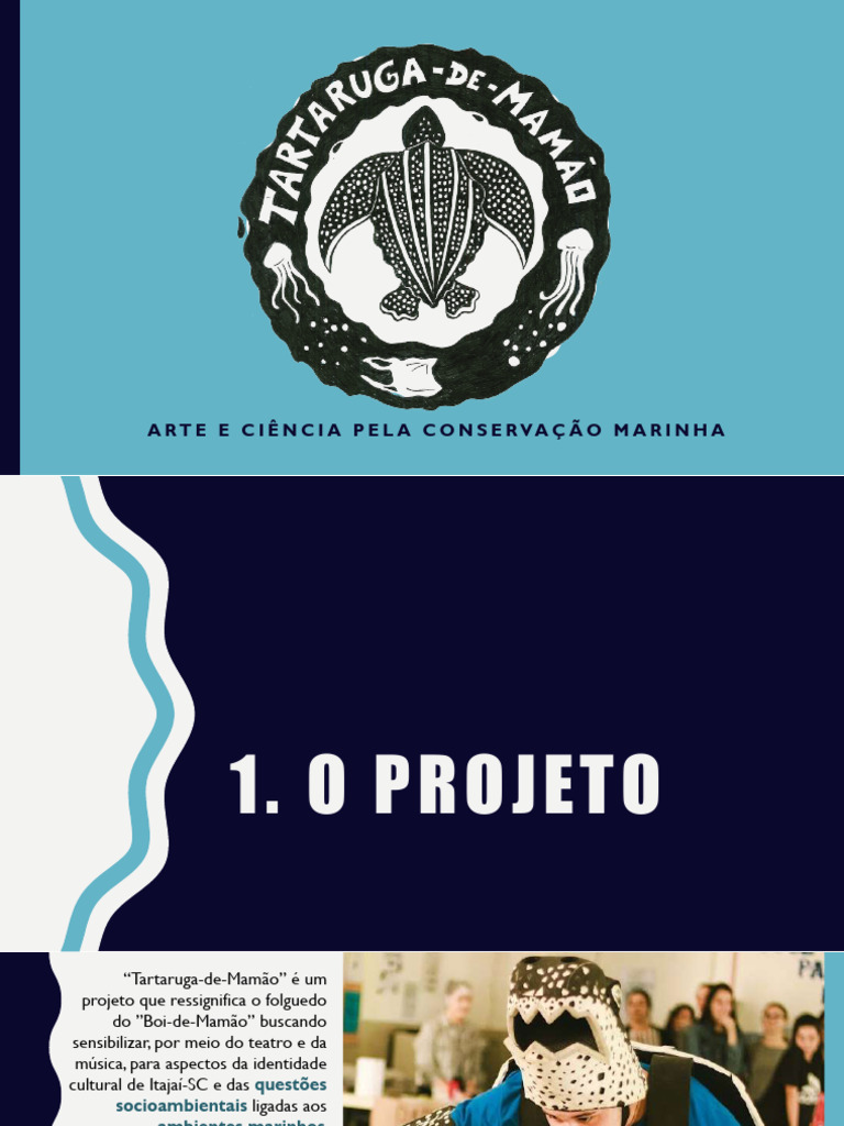 Release TDM 2024 (Tartaruga de Mamão) | PDF | Ciências Sociais