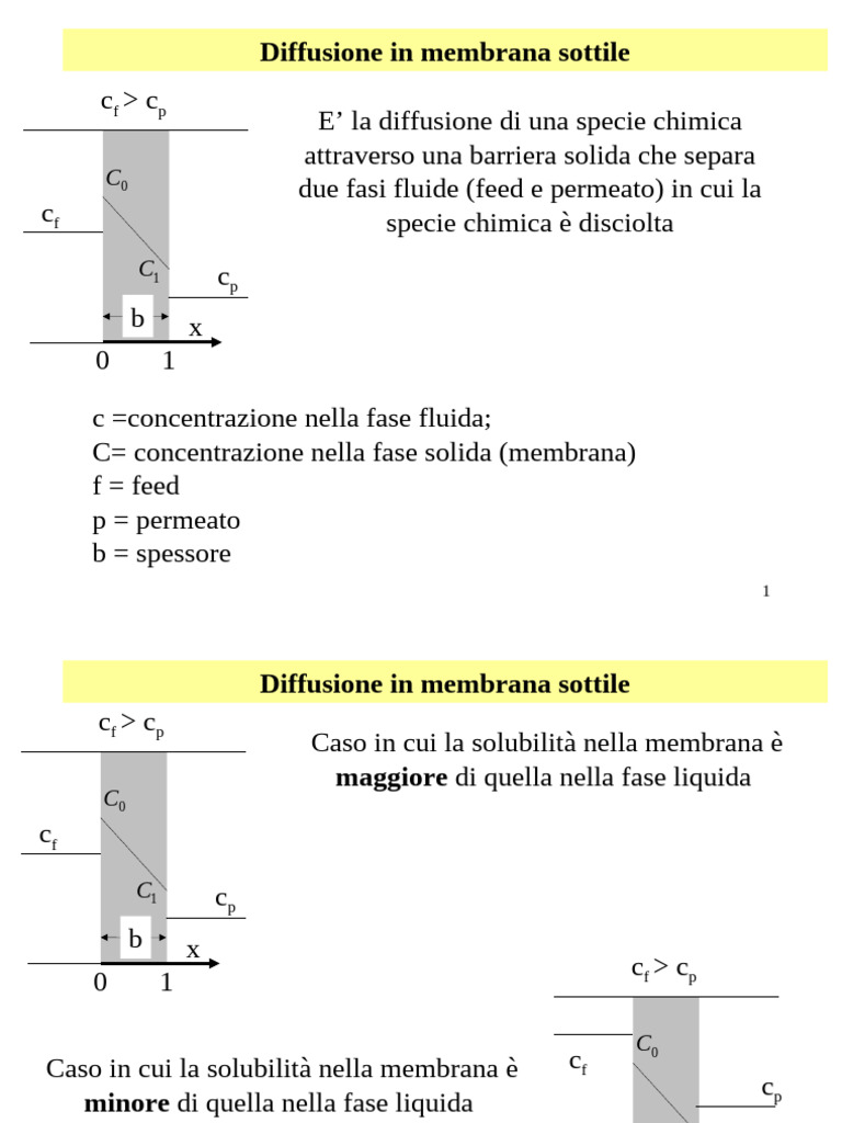 5d - Diffusione - in Membrana | PDF