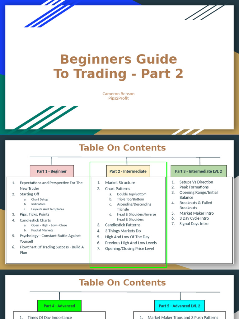 Beginner's Trading Guide: Key Concepts | PDF