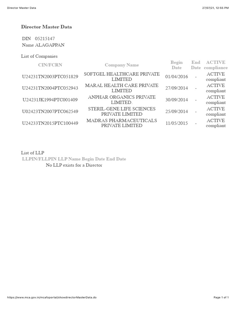 Alagappan - Director Master Data | PDF