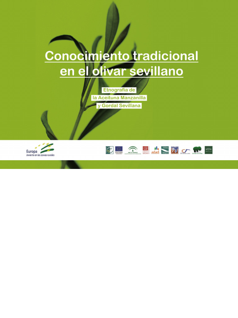 Conocimiento Tradicional en El Olivar Sevillano - Etnografía de La ...