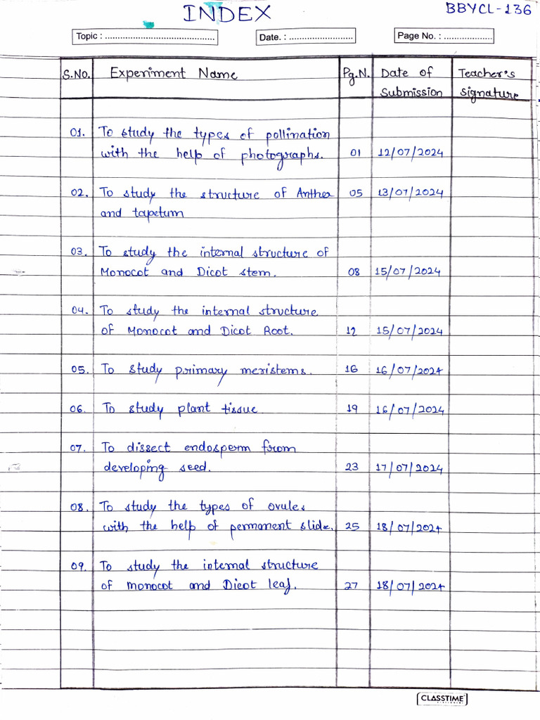 BBYCL-136 Practical File (SSN by Anil Sir) | PDF