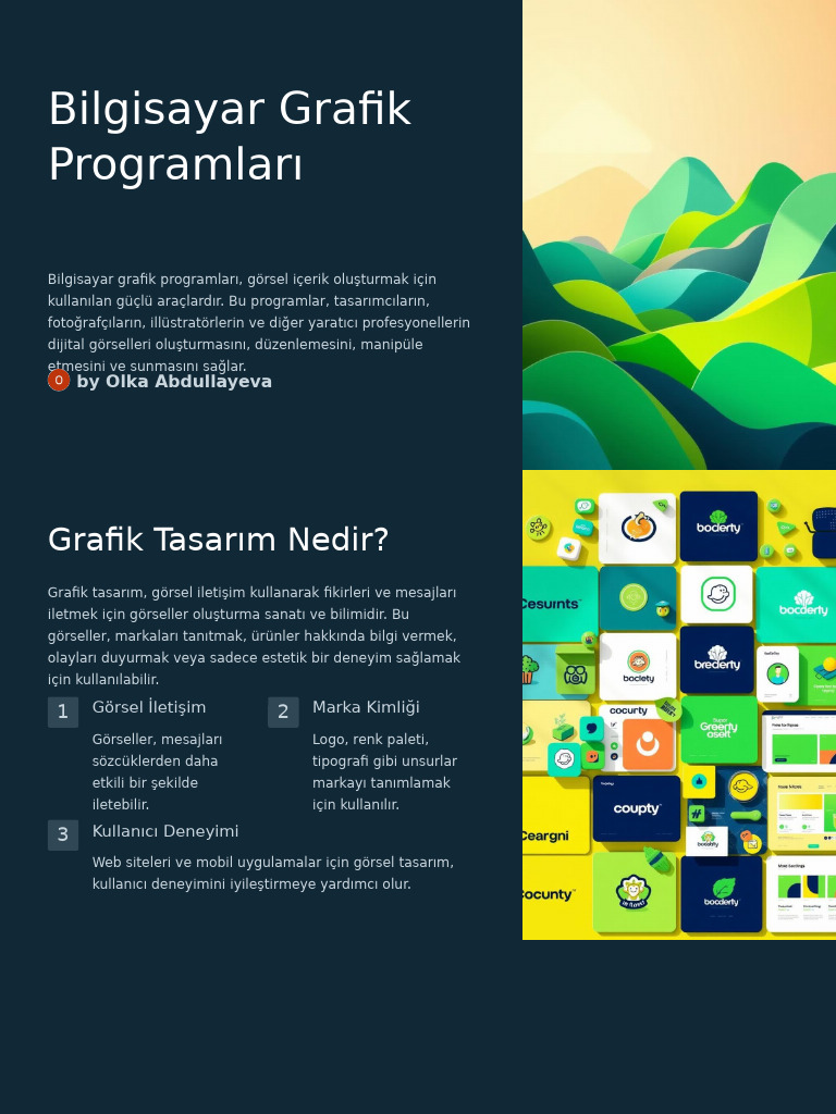 Bilgisayar Grafik Programlari | PDF