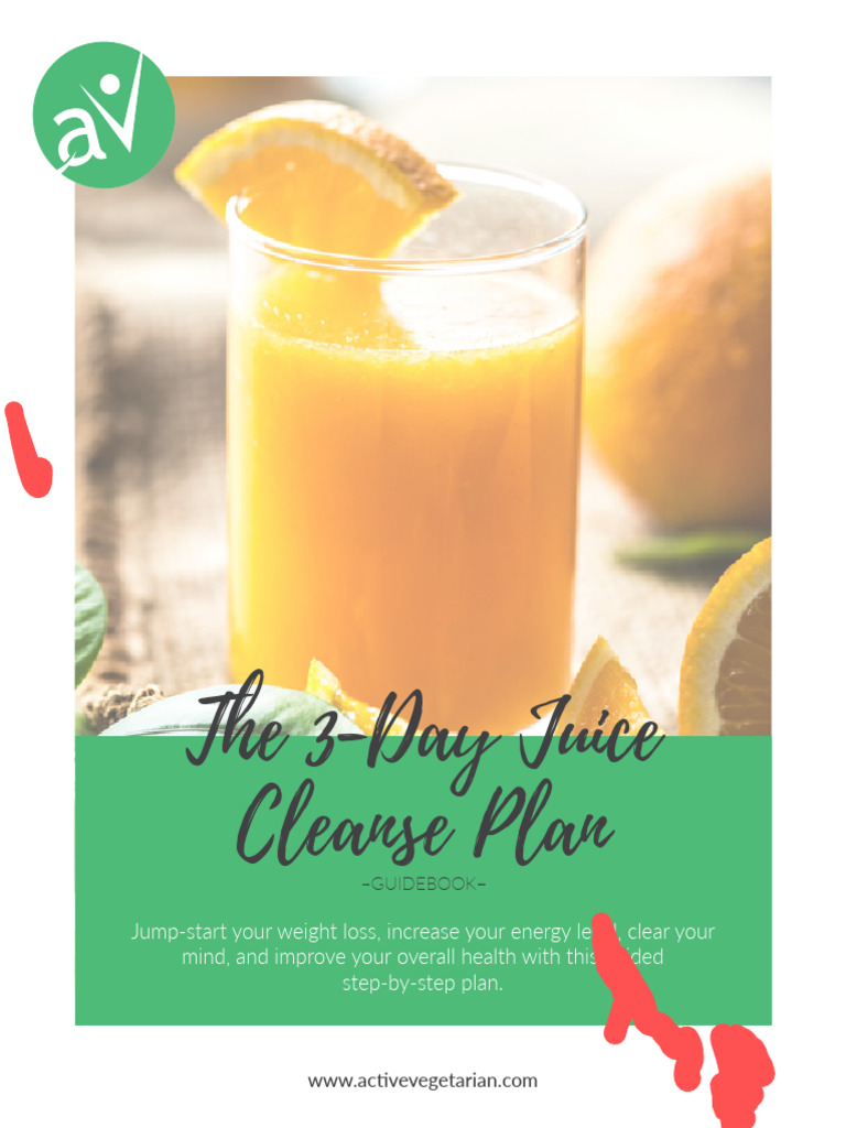 3 Day Juice Cleanse GuideBook by Active Vegetarian Links | PDF | Foods ...